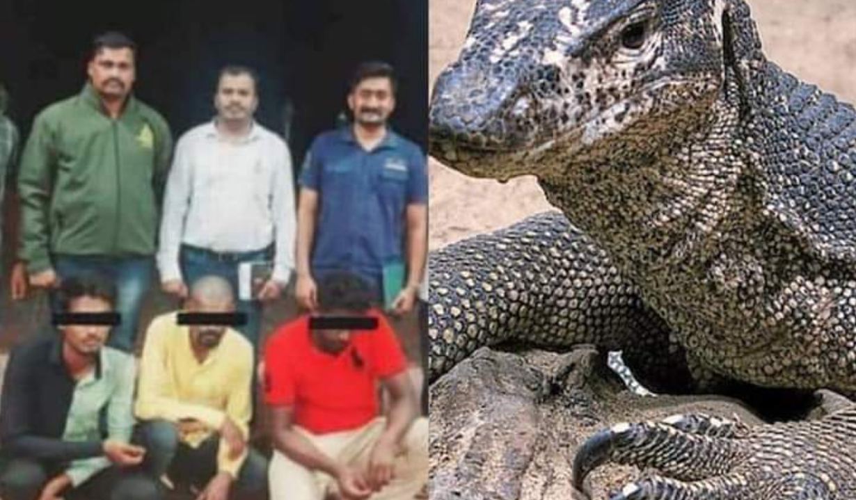 Bizarre: Four men arrested for gang-raping a lizard - Matooke Republic