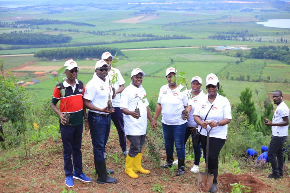 Equity Bank, Mwirians join hands to restore forest cover on Mwiri Hill ...